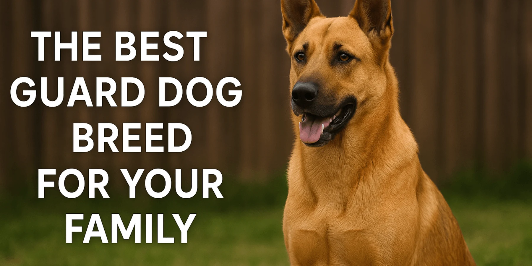Best Guard Dog Breeds for Families - RarePetsBreeds